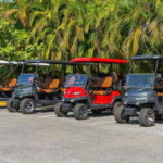 Punta de Mita Golf Cart Rentals - What Makes This Experience Stand Out?