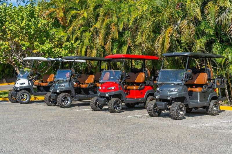 Punta de Mita Golf Cart Rentals - What Makes This Experience Stand Out?