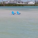 Punta Gorda/Boca Grande: Cayo Costa State Park Boat Tour - The Itinerary in Detail