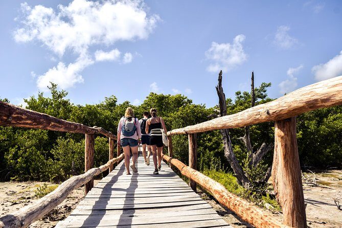 Punta Sur Eco Beach Park Electric Bike Tour in Cozumel - Riding Experience and Road Conditions