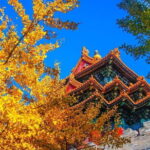 Quality Small Group Beijing Layover Tour to Forbidden City - What Travelers Say: Authentic Thoughts