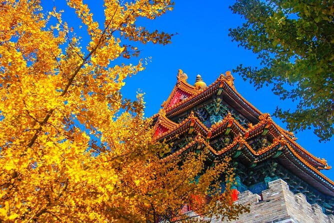 Quality Small Group Beijing Layover Tour to Forbidden City - What Travelers Say: Authentic Thoughts