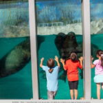 Quebec: Aquarium du Quebec Entry Ticket - FAQ