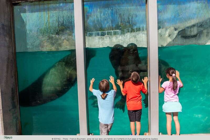 Quebec: Aquarium du Quebec Entry Ticket - FAQ