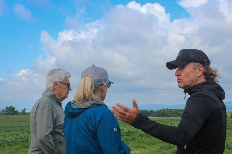 Quebec City - Agricultural Walking Tour on Ile d'Orléans - Detailed Breakdown of the Itinerary