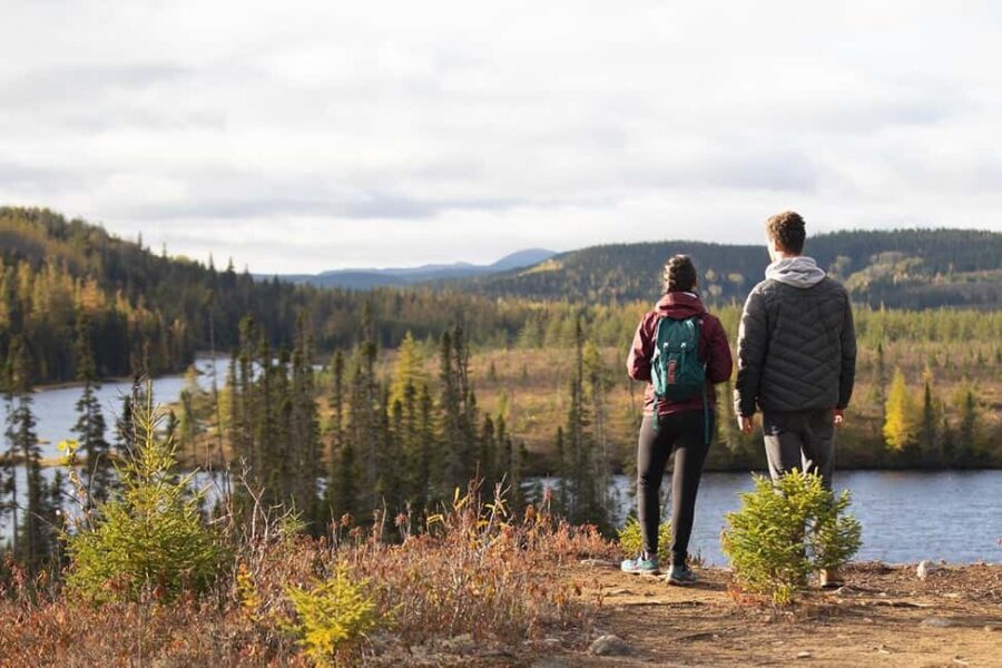 Québec City: Boreal Taiga Guided Hike - Traversing the Remote-Looking Landscape Just Two Hours from Québec