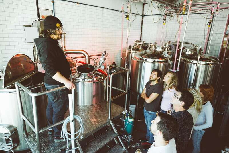Quebec City: Craft Brewery and Beer Tasting Tour - Who Is This Tour Best For?