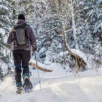 Quebec City: Jacques-Cartier National Park Snowshoeing Tour - The Value for Money
