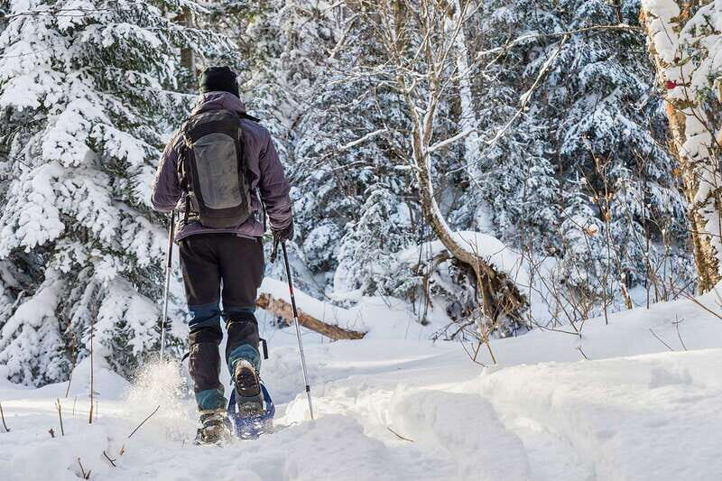 Quebec City: Jacques-Cartier National Park Snowshoeing Tour - The Value for Money