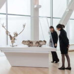 Quebec City: MNBAQ National Fine Arts Museum Entry Ticket - Art Collections You’ll Encounter