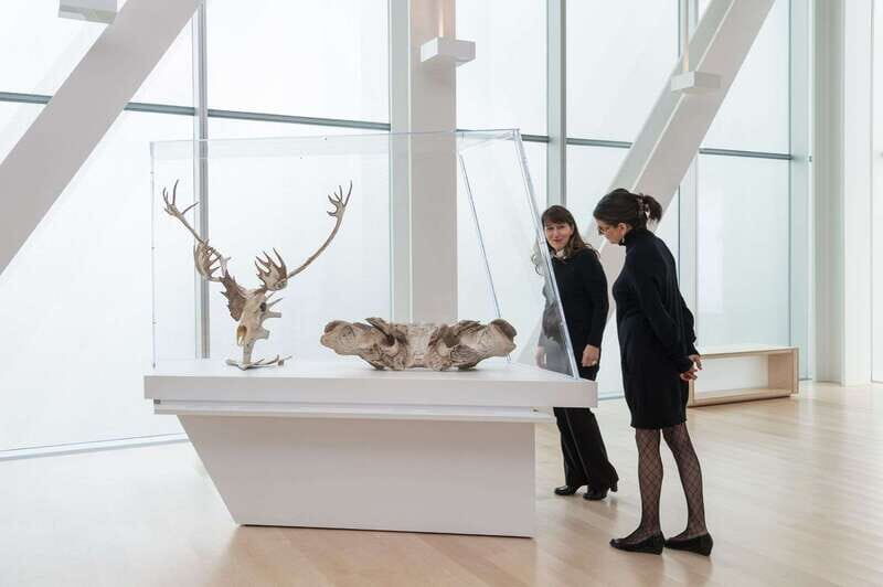 Quebec City: MNBAQ National Fine Arts Museum Entry Ticket - Art Collections You’ll Encounter