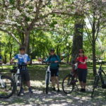Quebec City : Private Electric Bike Tour - The Sum Up