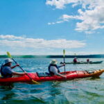 Quebec City: Sea-Kayaking Tour in Orleans Island - What the Tour Involves