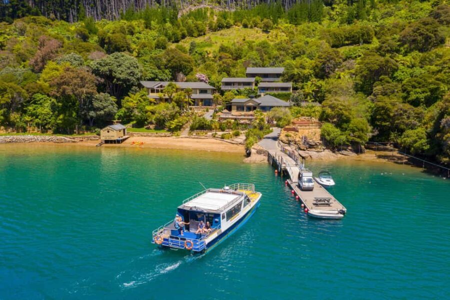 Queen Charlotte Sound: Lochmara Cruise and Explore Day Trip - An Introduction to the Lochmara Experience