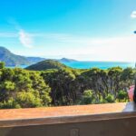 Queen Charlotte Track: Cruise & Self-Guided Hike from Picton - What’s Included and What’s Not