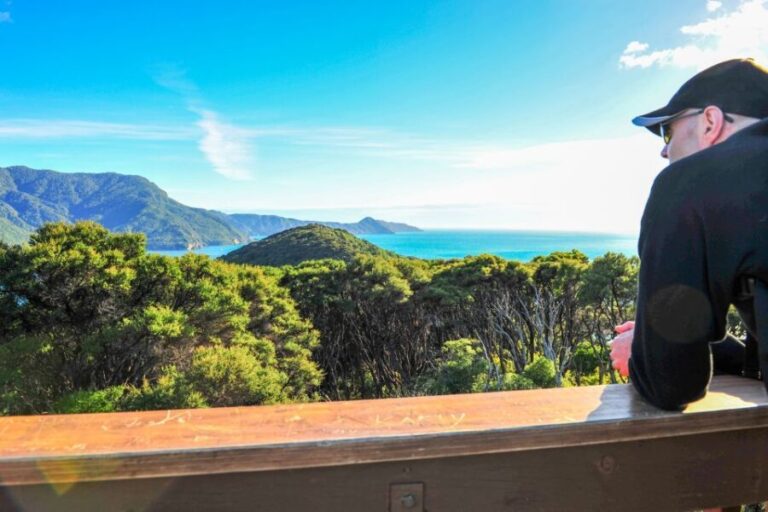 Queen Charlotte Track: Cruise & Self-Guided Hike from Picton - What’s Included and What’s Not