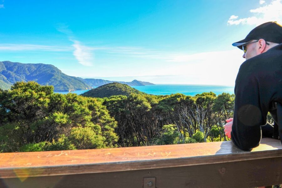 Queen Charlotte Track: Cruise & Self-Guided Hike from Picton - What’s Included and What’s Not