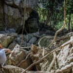 Queensland: 90 Minute Capricorn Caves Explorer Tour - Key Points