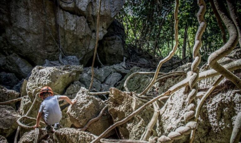 Queensland: 90 Minute Capricorn Caves Explorer Tour