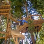 Queenstown: 2-Hour Zipline Tour with 4-Lines - The Itinerary and Zipping Experience