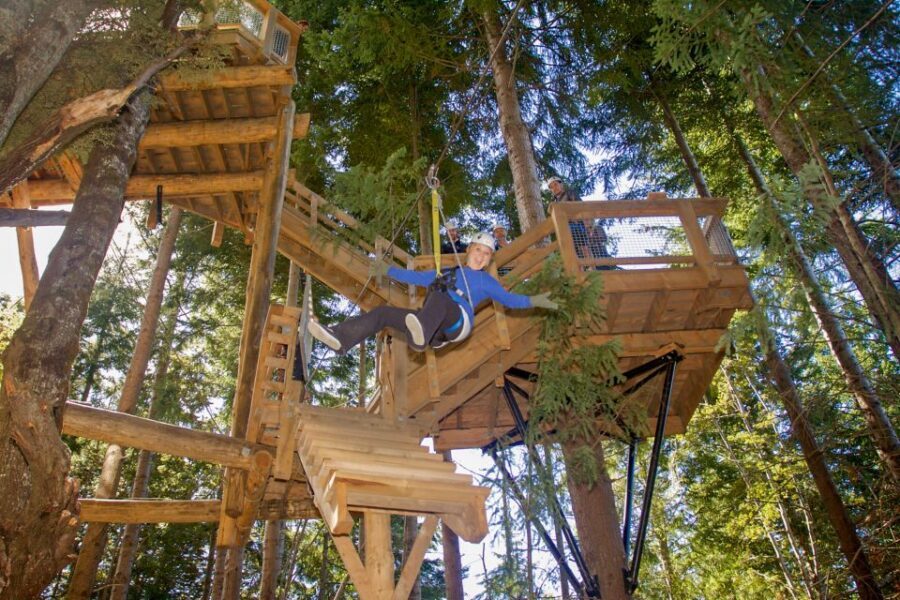 Queenstown: 2-Hour Zipline Tour with 4-Lines - The Itinerary and Zipping Experience