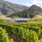 Queenstown, Arrowtown, Gibbston: Flexible Wine Hopper Tours - Detailed Breakdown of the Journey