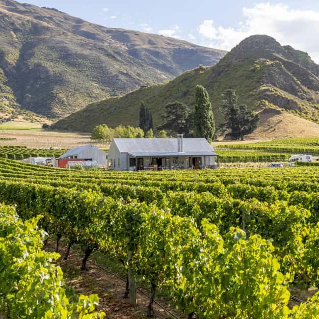 Queenstown, Arrowtown, Gibbston: Flexible Wine Hopper Tours - Detailed Breakdown of the Journey