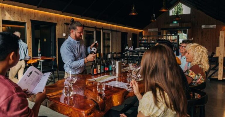 Queenstown: Classic Central Otago Wine Tasting Experience - Is It Worth the Price?
