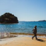 Queenstown: Day Trip to Stewart Island via Scenic Flight - The Return Flight and End of the Day