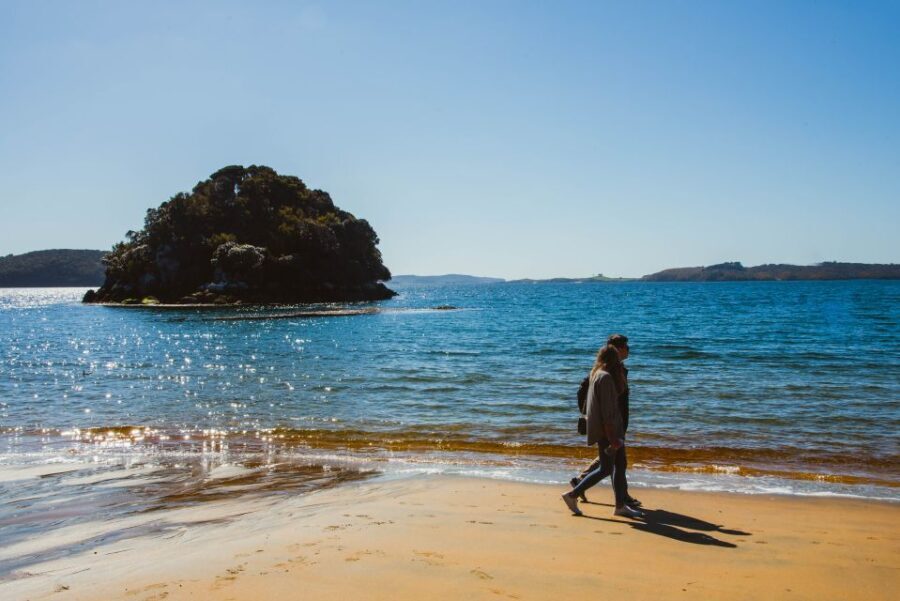 Queenstown: Day Trip to Stewart Island via Scenic Flight - The Return Flight and End of the Day