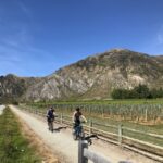 Queenstown: Guided E-Bike Tour with Winery Visits & Tastings - Who Will Love This Tour?