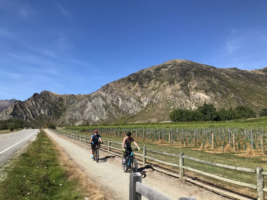 Queenstown: Guided E-Bike Tour with Winery Visits & Tastings - Who Will Love This Tour?
