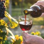 Queenstown More Than A Wine Tour - Who Is This Tour Best For?