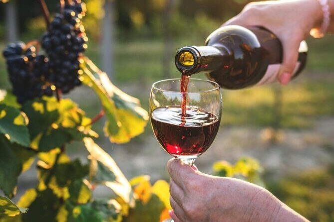 Queenstown More Than A Wine Tour - Who Is This Tour Best For?