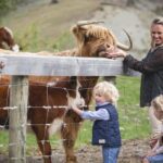 Queenstown: Queenstown Lake Cruise and Walter Peak Farm Tour - The Farm Tour: An Authentic Taste of Kiwi Agriculture
