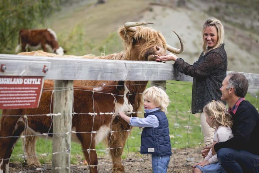 Queenstown: Queenstown Lake Cruise and Walter Peak Farm Tour - The Farm Tour: An Authentic Taste of Kiwi Agriculture