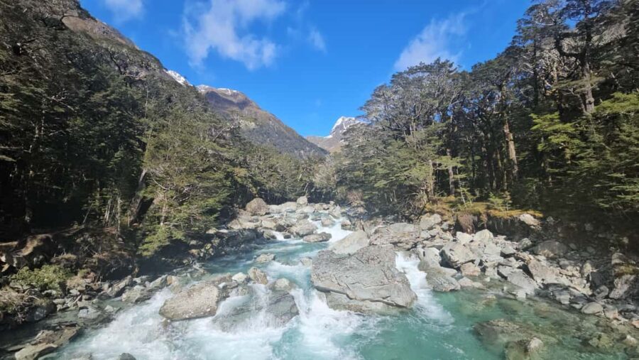 Queenstown: Routeburn Track Guided Full-Day Walk or Half Day - Who Will Love This Tour?