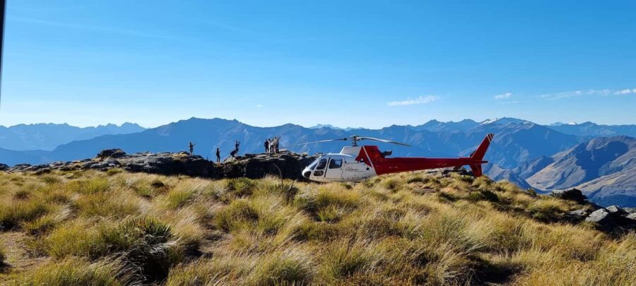 Queenstown: Scenic Alpine Heli-Flight - Who Would Love This Tour?