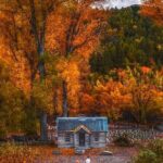 Queenstown to Christchurch One Way Tour Via Lake Tekapo & Mt Cook - The Experience and What It Means for You