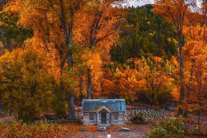 Queenstown to Christchurch One Way Tour Via Lake Tekapo & Mt Cook - The Experience and What It Means for You