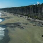 Queenstown to Franz Josef small group tour (one-way) - A Detailed Look at the Itinerary & Experience