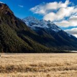 Queenstown to Te Anau via Milford Sound inc Cruise & Lunch - Scenic Stops That Make the Journey Special