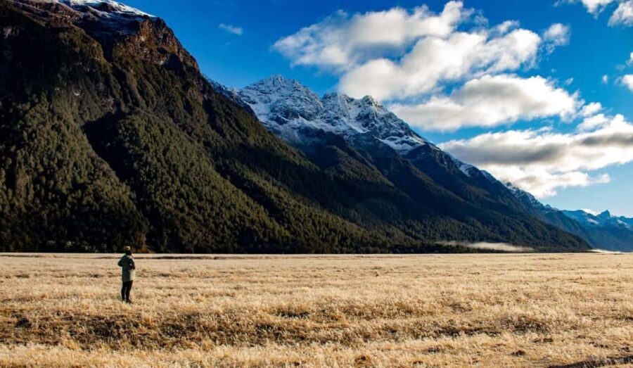 Queenstown to Te Anau via Milford Sound inc Cruise & Lunch - Scenic Stops That Make the Journey Special
