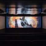 Queenstown: Underwater Theatre Experience Entry Ticket - Authentic Feedback from Visitors