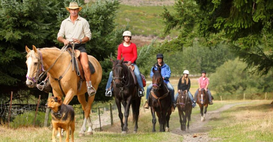Queenstown: Walter Peak Horse Trek & Queenstown Lake Cruise - What’s Included and What’s Not