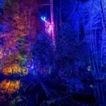 Queenstown: Whimsical Sensory Night Walk at LUMA Enchanted - Authentic Perspectives from Visitors