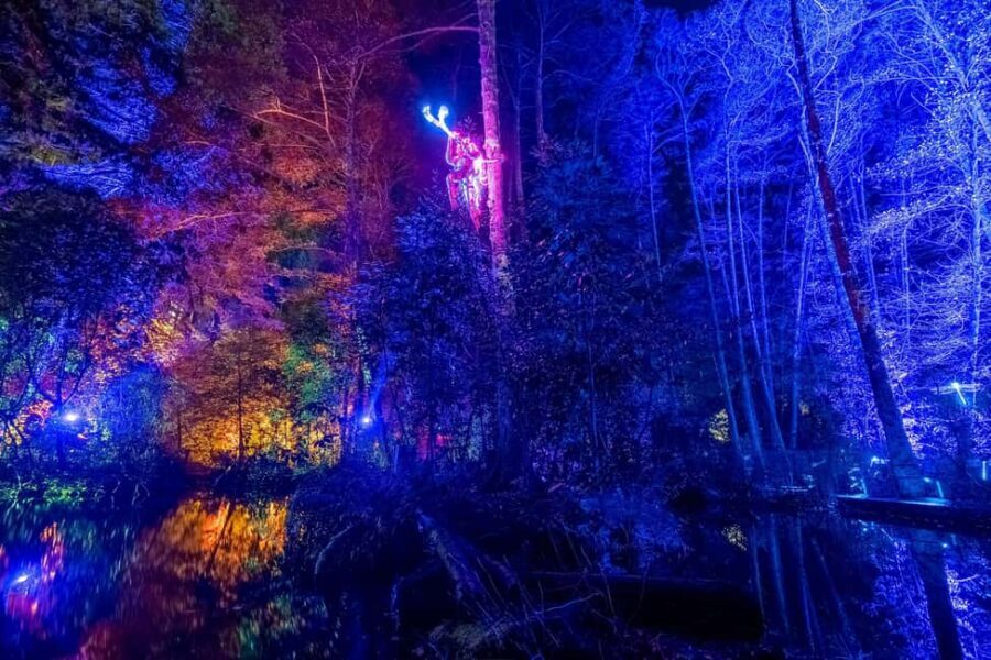 Queenstown: Whimsical Sensory Night Walk at LUMA Enchanted - Authentic Perspectives from Visitors