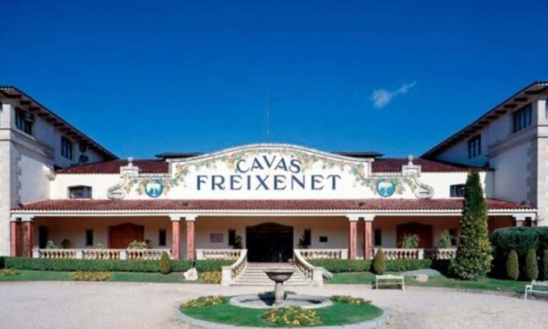 Querétaro: Cheese and Wine Tasting Tour - Who Should Consider This Tour?