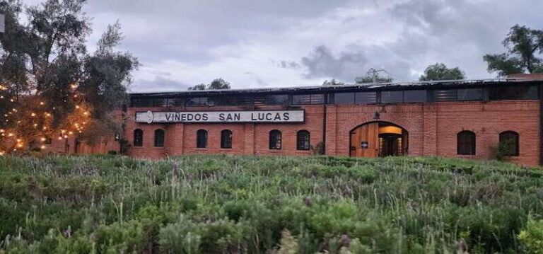 Querétaro: Independence Valley - Guanajuato Wine Tour - The Practical Side: Whats Included and What Isnt