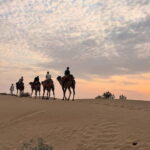 Quiet & Peaceful Night At Luxury Desert Camp - What’s Included and What’s Not